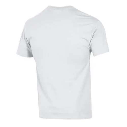 Champion Miami Dolphins Arch Over Logo T-shirt