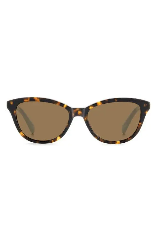 Kate Spade New York Tayla Sunglasses - Havana/bronze