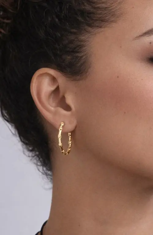 Argento Vivo Bamboo Hoop Earrings In 18k- Plate