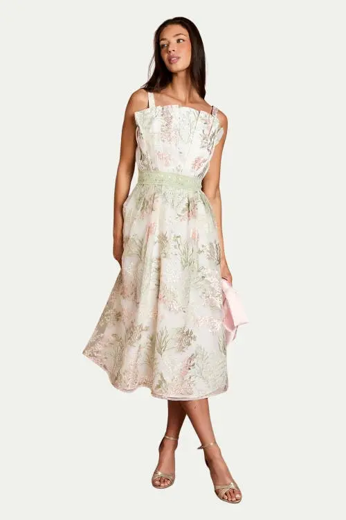 Coast Fan Bodice Embroidered Mesh Midi Dress - Ivory