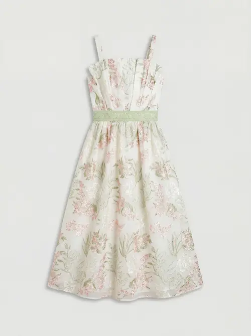Coast Embroidered Fan Bodice Mesh Midi Dress