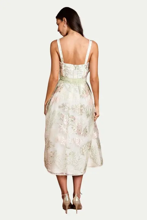 Coast Embroidered Fan Bodice Mesh Midi Dress