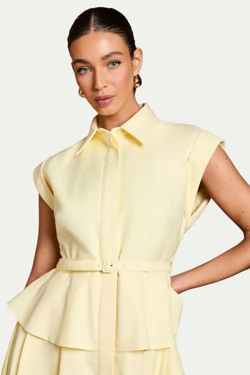 Coast Peplum Detail Belted Shirt Dress