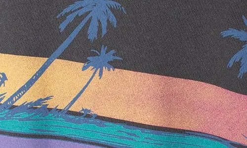 Roxy Heatwave Oversize Cotton Graphic T-shirt