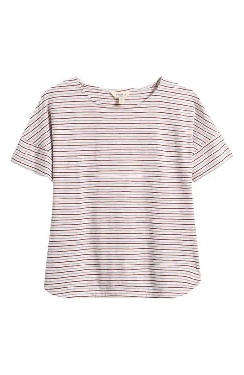 SEASALT CORNWALL Bryher Stripe T-shirt - Profile Bergamont