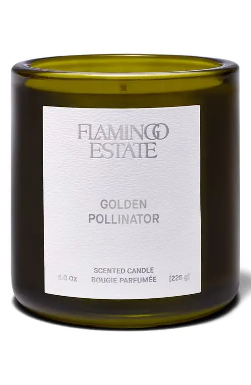 FLAMINGO ESTATE Golden Pollinator Candle - No Color