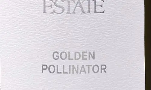 FLAMINGO ESTATE Golden Pollinator Candle