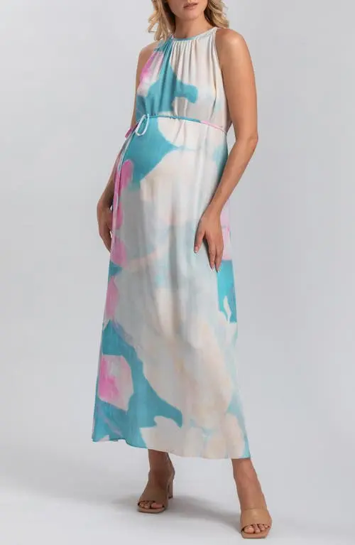 PIETRO BRUNELLI Francesca Floral Maternity Maxi Dress
