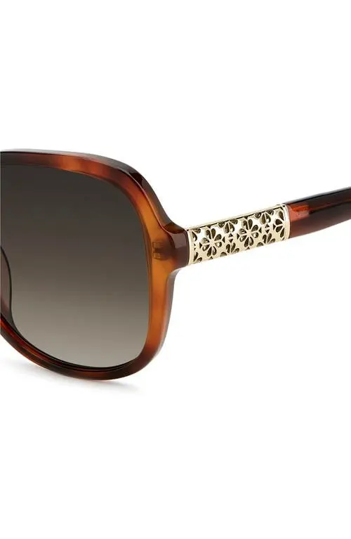 Kate Spade New York Eliza Sunglasses - Havana/brown