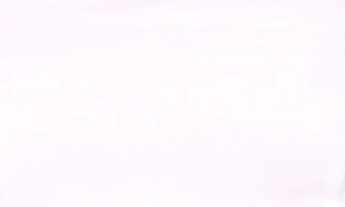 Susana Monaco Linen Tie Back Crop Camisole - Sugar