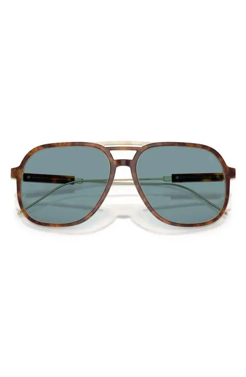 Brunello Cucinelli 57mm Pillow Sunglasses - Havana/night