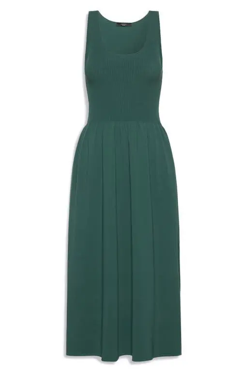 Max Mara Calibri Midi Dress