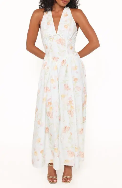 PETAL & PUP Myra Print Sleeveless Maxi Dress - Light Mint