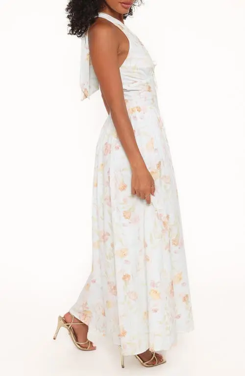 PETAL & PUP Sleeveless V-neck Maxi Dress