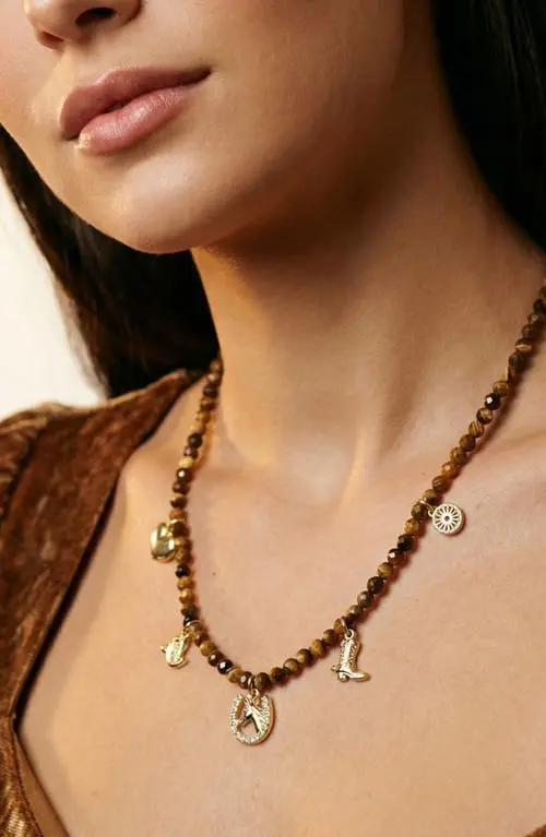 Argento Vivo Charm Necklace With Tiger's Eye And -plated Accents