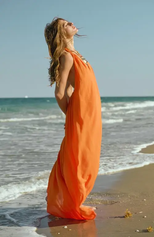 WAYF Solana Halter Maxi Dress