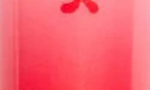 MIXIK Lip & Cheek Tint - Apple