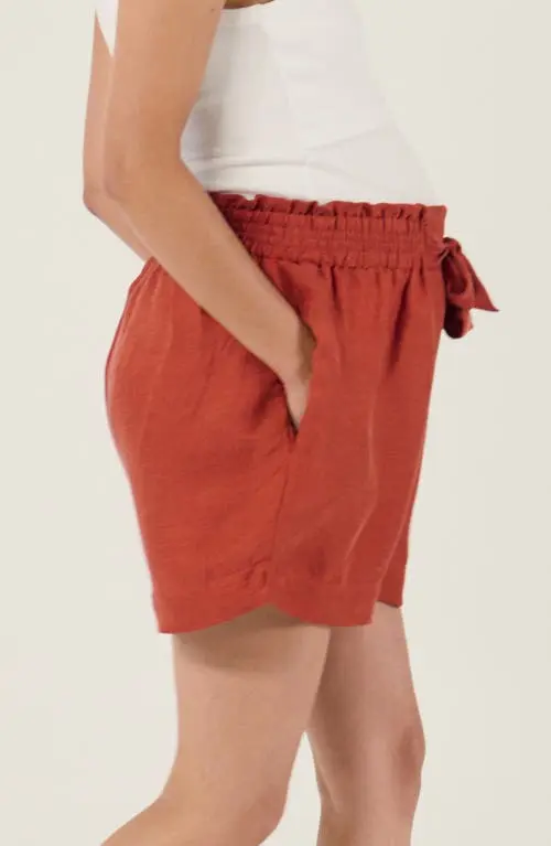CACHE COEUR Maternity Smock Shorts - Copper