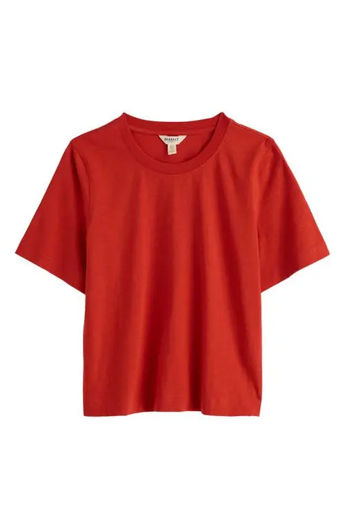 SEASALT CORNWALL Organic Cotton T-shirt