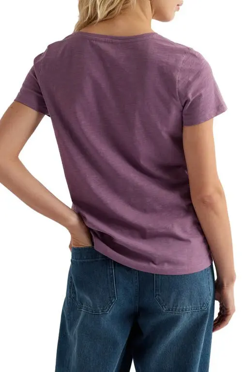 SEASALT CORNWALL Kellow Organic Cotton V-neck T-shirt