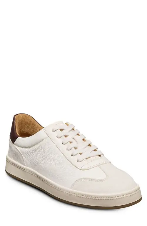 Allen Edmonds Hawthorne Sneaker - White Multi