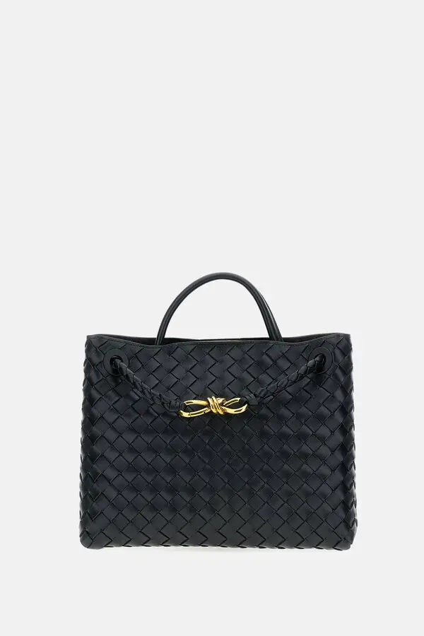 Bottega Veneta Medium Andiamo Bag