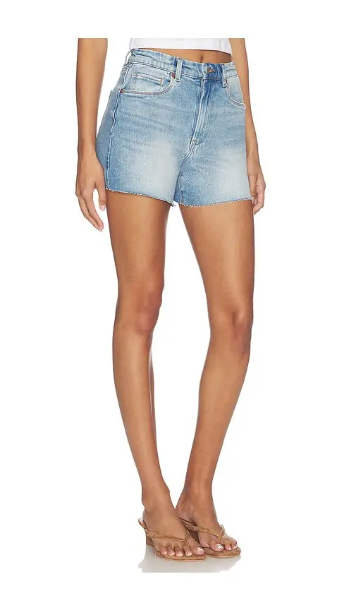 Blanknyc Denim Cut Off Shorts