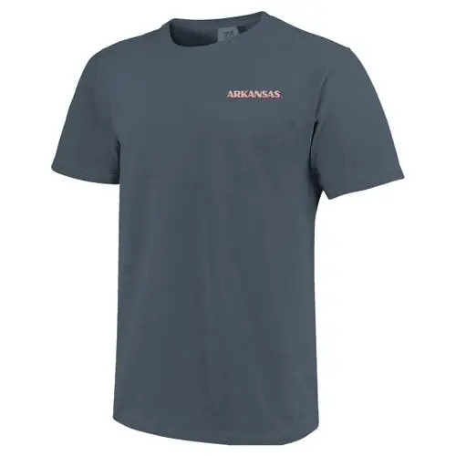 IMAGE ONE Arkansas Razorbacks Comfort Colors Team Statue T-shirt