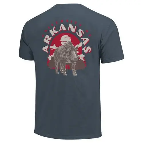 IMAGE ONE Arkansas Razorbacks Comfort Colors Team Statue T-shirt