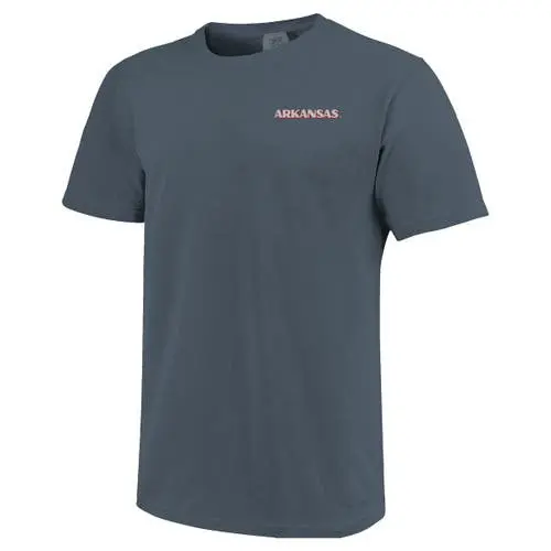 IMAGE ONE Arkansas Razorbacks Comfort Colors Team Statue T-shirt