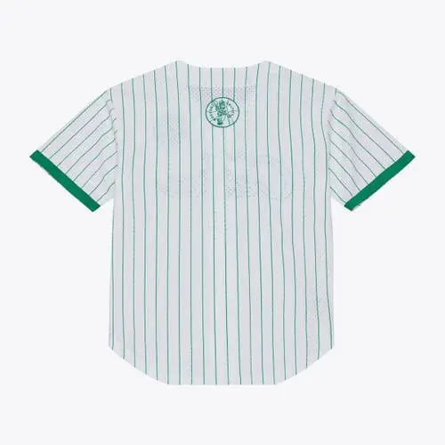 Mitchell & Ness Boston Celtics Head Coach Pinstripe Mesh Full-button Baseball Jersey