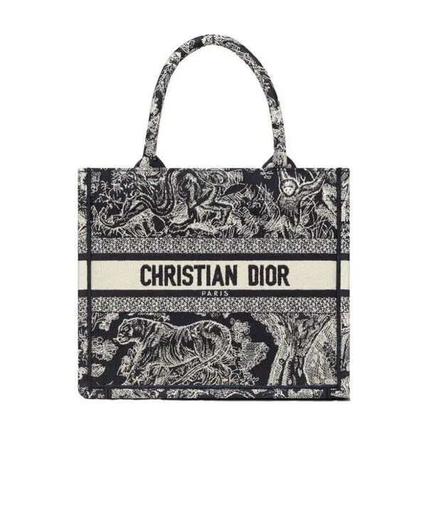 Dior Small Book Tote