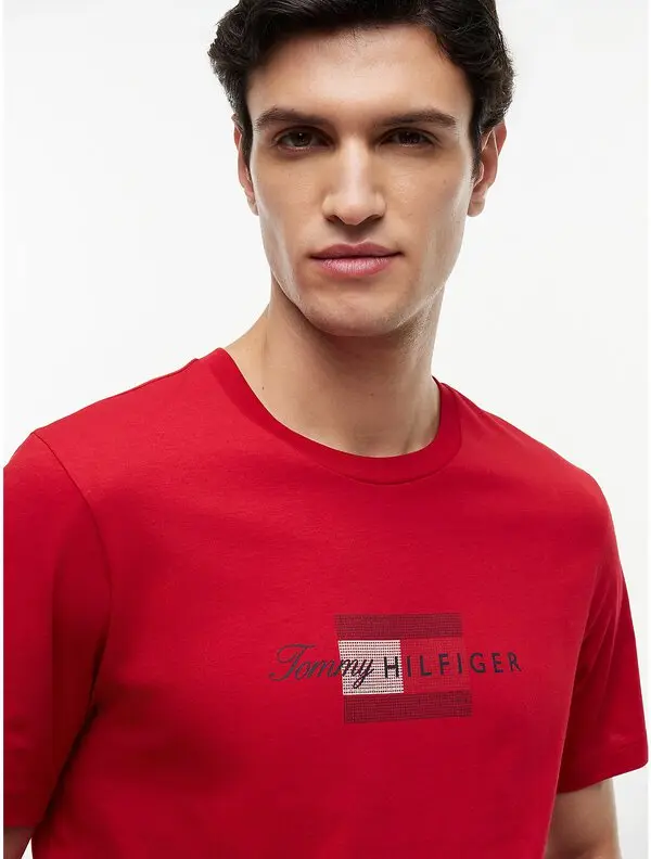 Tommy Hilfiger Tommy Script Flag Logo T-shirt