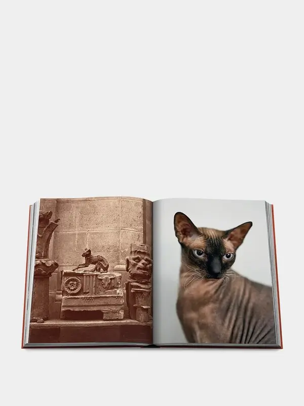 Assouline Chic Cats A Celebration Of Feline Influence In Art And Culture