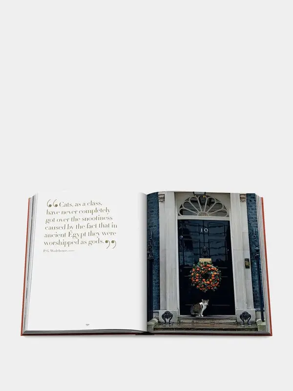 Assouline Chic Cats A Celebration Of Feline Influence In Art And Culture