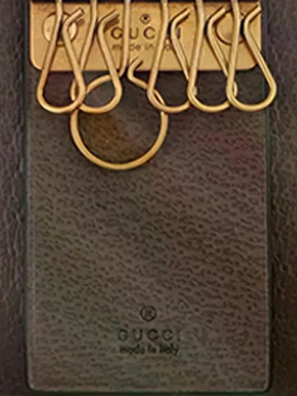 Gucci 2016-2026 Gg Supreme Web Ophidia Case Key Holder