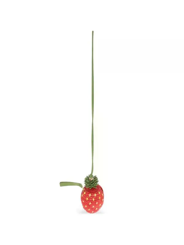 Loewe Strawberry Coin Purse - Red