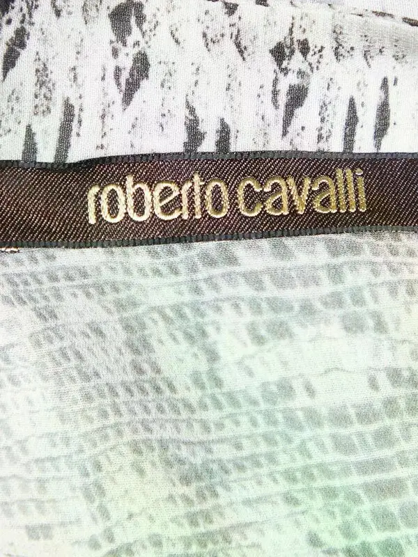 Roberto Cavalli Snakeskin-print Silk Shirt
