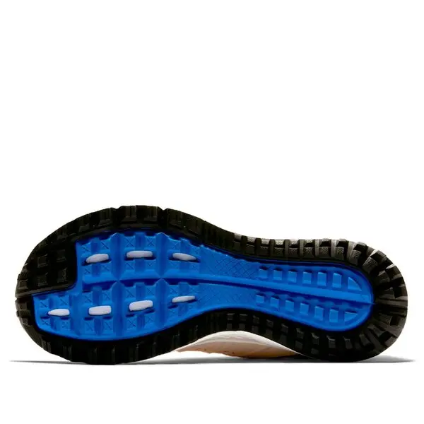 Nike Zoom Wildhorse 4 Trail Running Shoes - Pink/blue