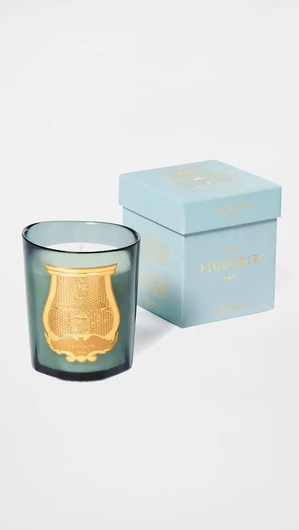 TRUDON Figuerie Candle 270