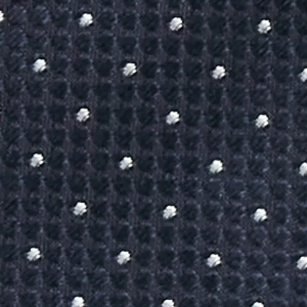 Canali Silk Polka Dot Neck Tie
