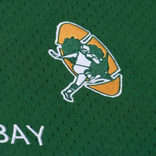 Mitchell & Ness Bay Packers Head Coach Mesh Full-button Fashion Jersey