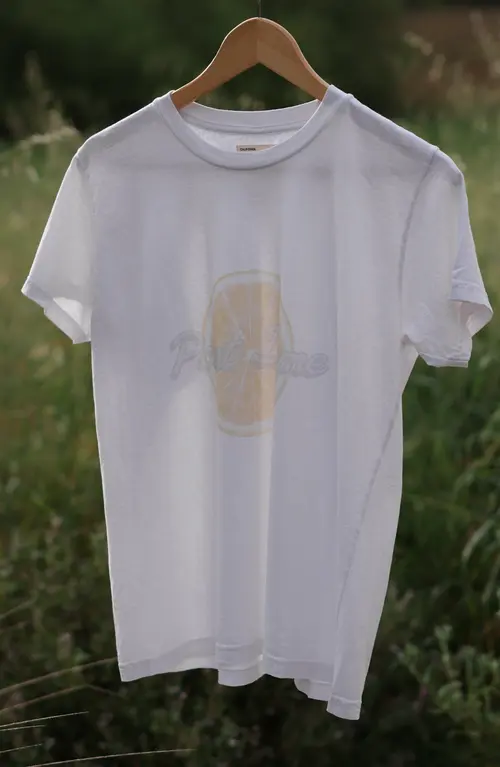 CALIFORNIA INCLINE Point Dume Citrus Tee