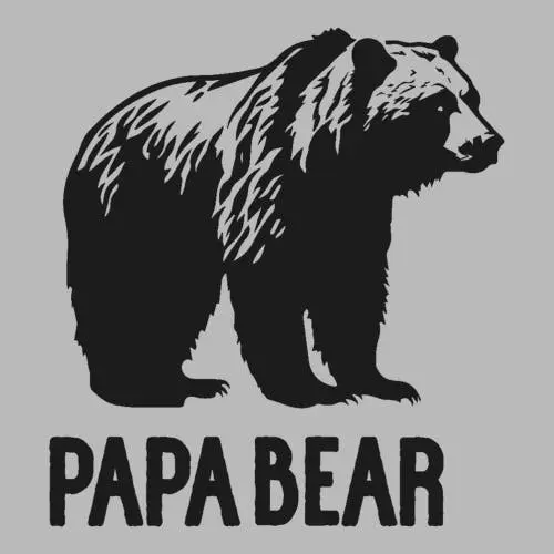 LOST GODS I'm The Papa Bear Graphic T-shirt