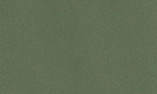 Spanx Oversize Short Sleeve Collared Shirt - Eucalyptus