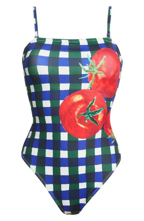 HUTCH Tavy Gingham Convertible One-piece Swimsuit - Blue/green