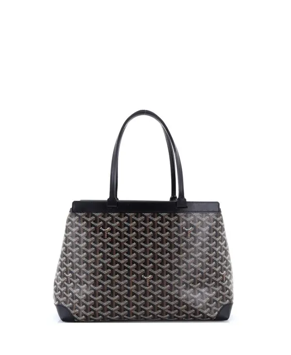 Goyard Pm Bellechasse Bag Coated Canvas