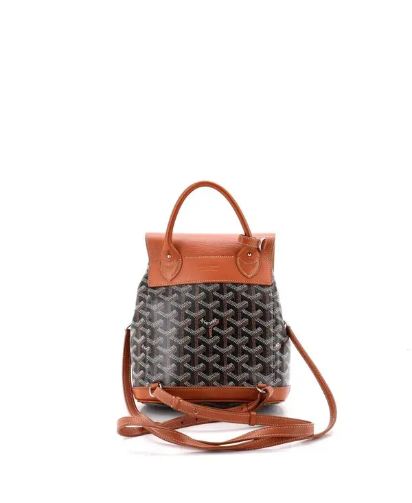 Goyard Mini Alpin Backpack Coated Canvas - Brown