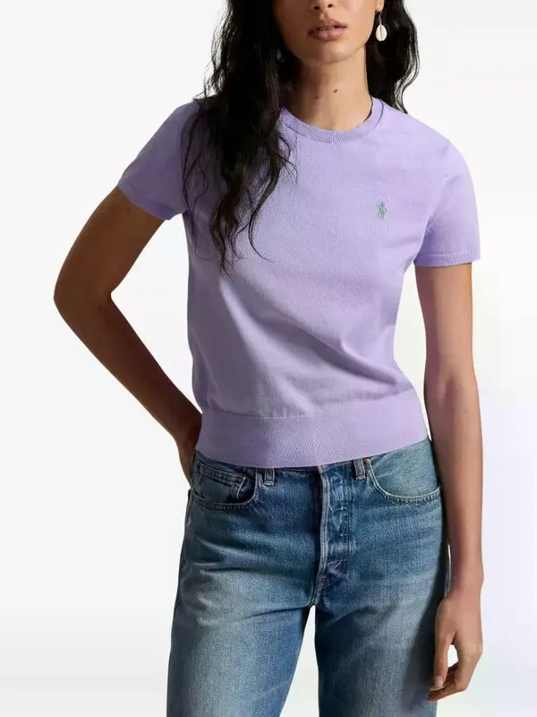 Polo Ralph Lauren Embroidered Pony Crew Neck Sweater