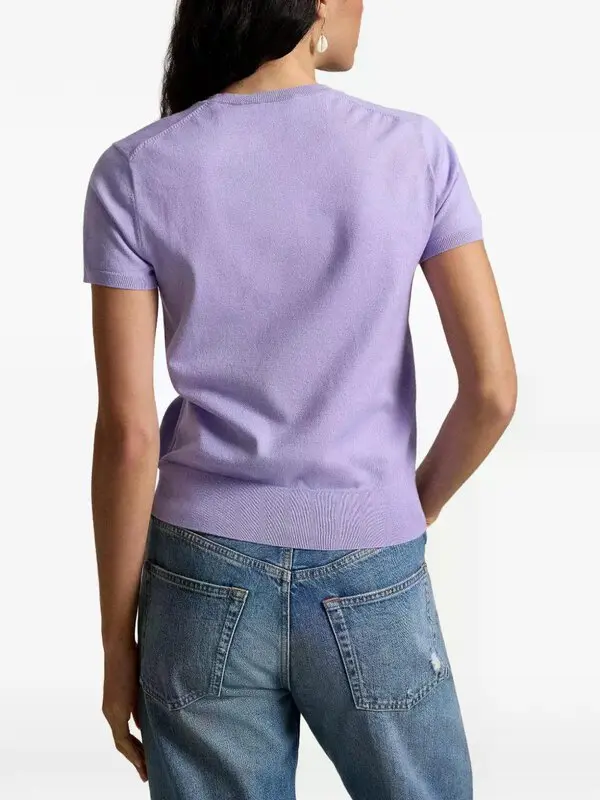 Polo Ralph Lauren Embroidered Pony Crew Neck Sweater